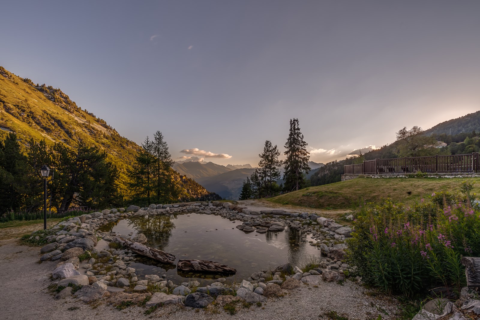 Discover the History of Arc 1950